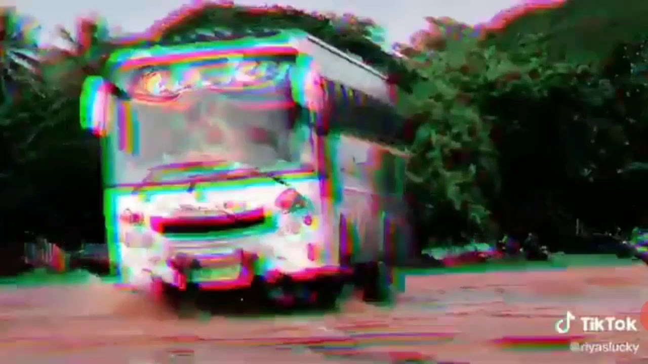 Tik Tok Mass Bus Youtube