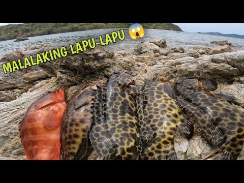 Bahayan Ng Mga LAPU-LAPU Spot Na To | JB lure version 2. | shore ...