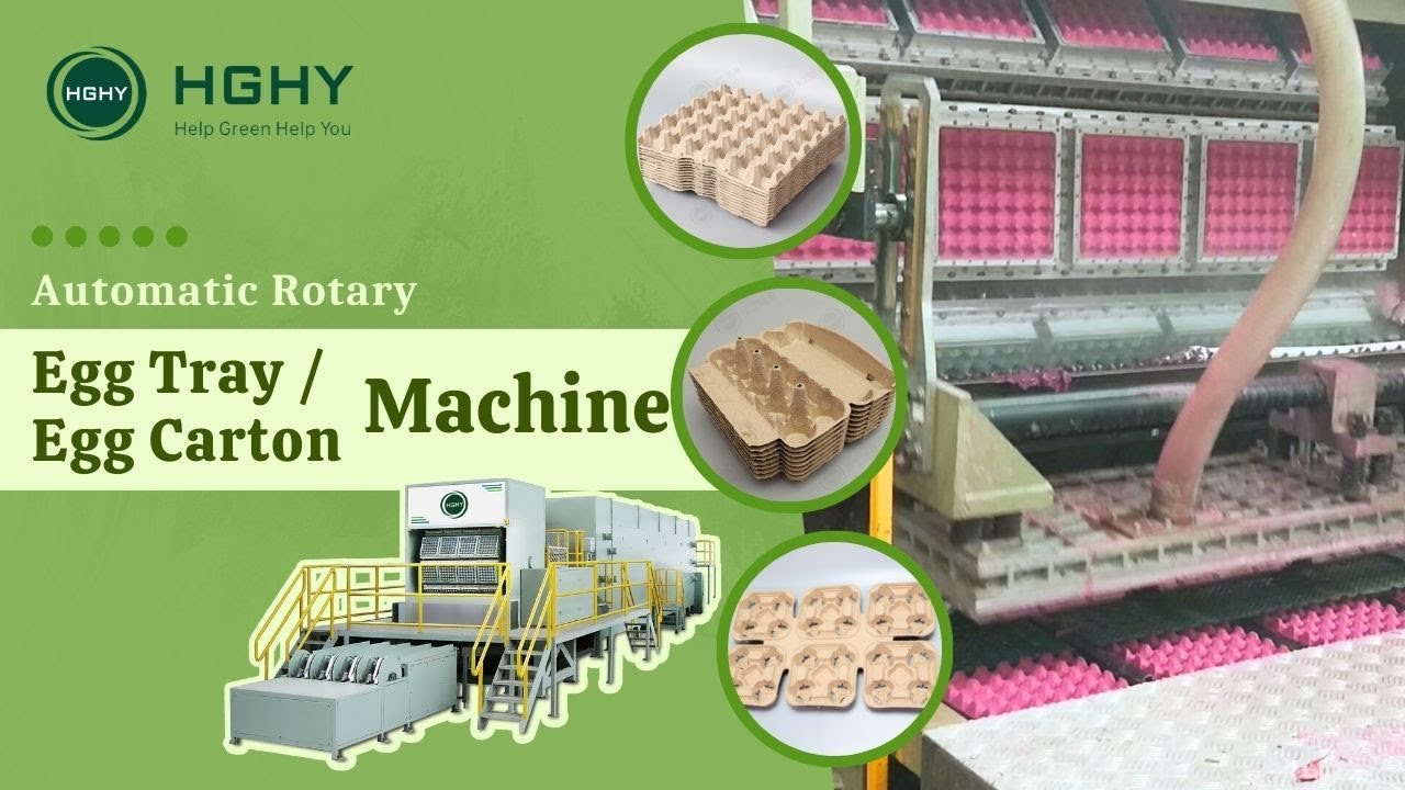 Automatic Rotary Egg Tray / Egg Carton Machine - YouTube