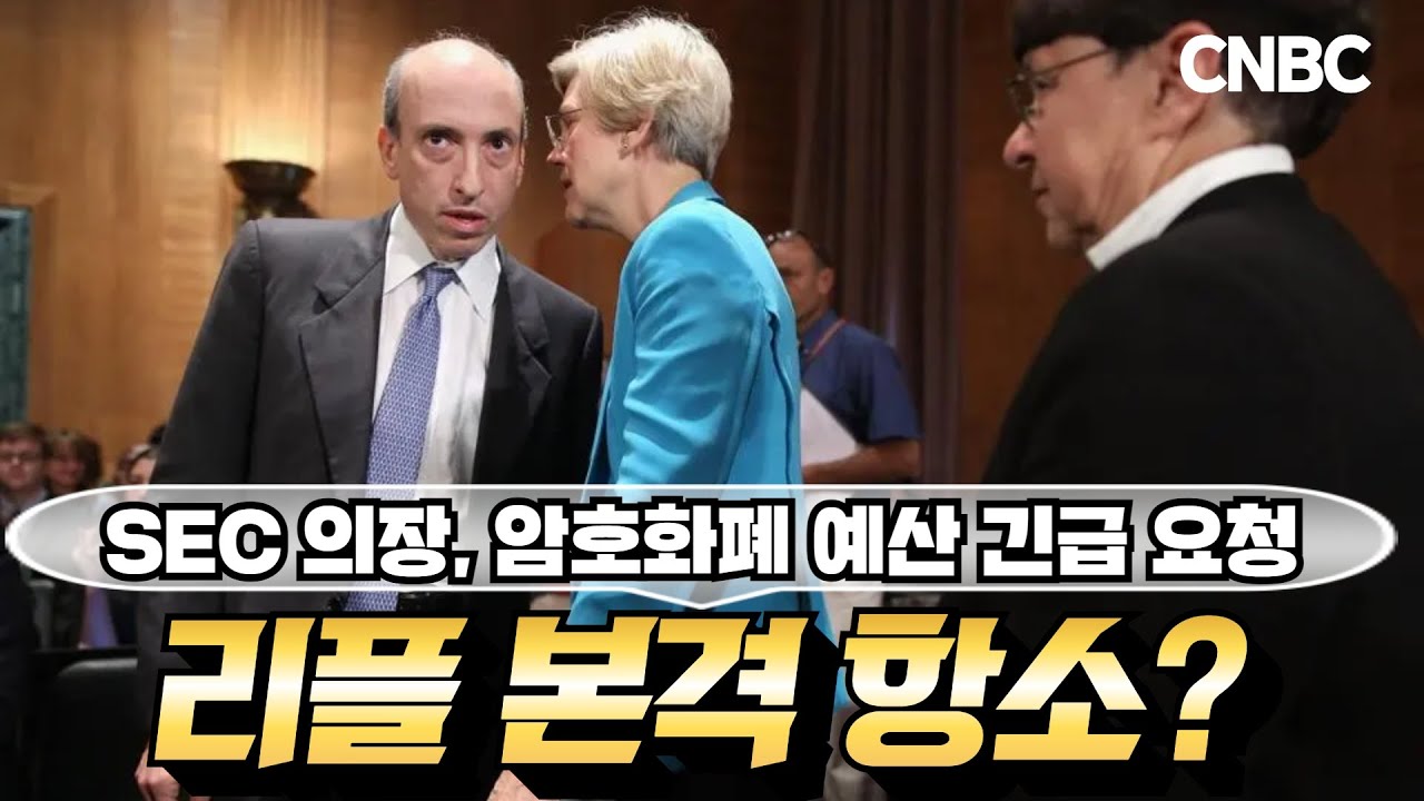 리플 비트코인 이더리움 리플 비트코인 이더리움 Sec 의장 암호화폐 예산 요청 리플 항소준비 리플 송금결제