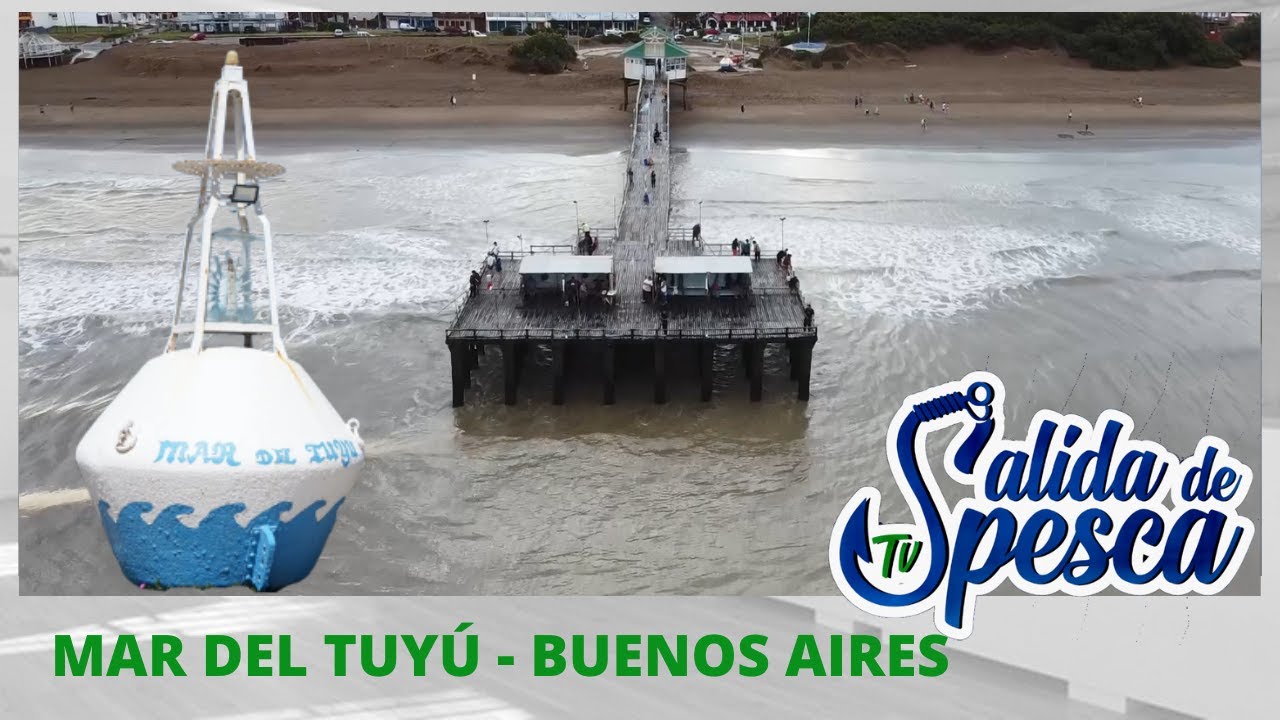 PESCA VARIADA DE MAR EN MAR DEL TUYÚ - YouTube
