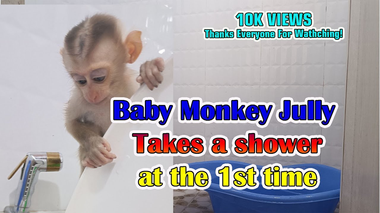 It's 1st time for Baby Monkey Jully to take a shower - YouTube