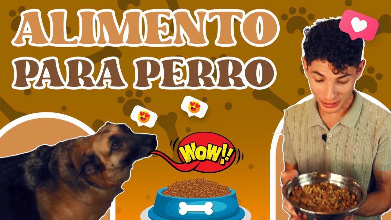 Alimento para Perro (Dog Food Topper) - YouTube