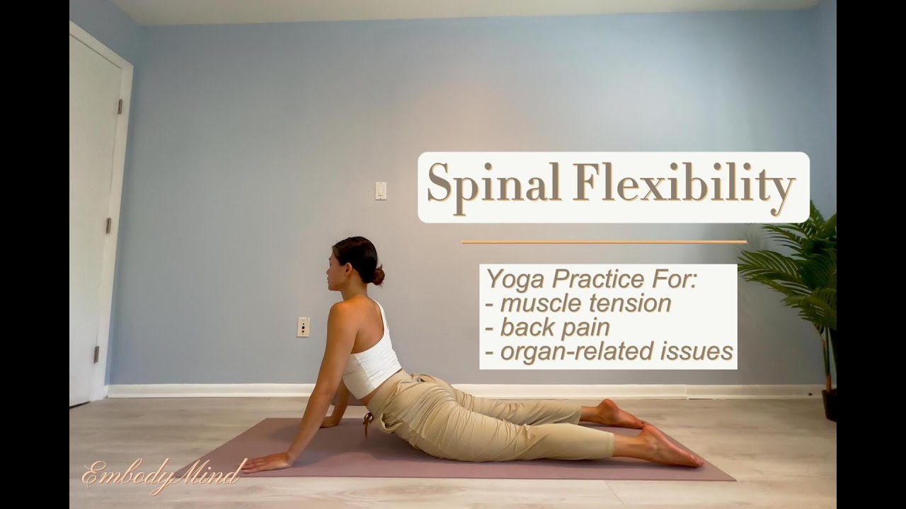 30-minute Spinal Flexibility Beginner Yoga Practice for Back Pains ...