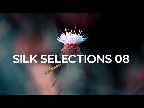 Silk Selections 08 (Continuous Mix) [Melodic House | Silk]
