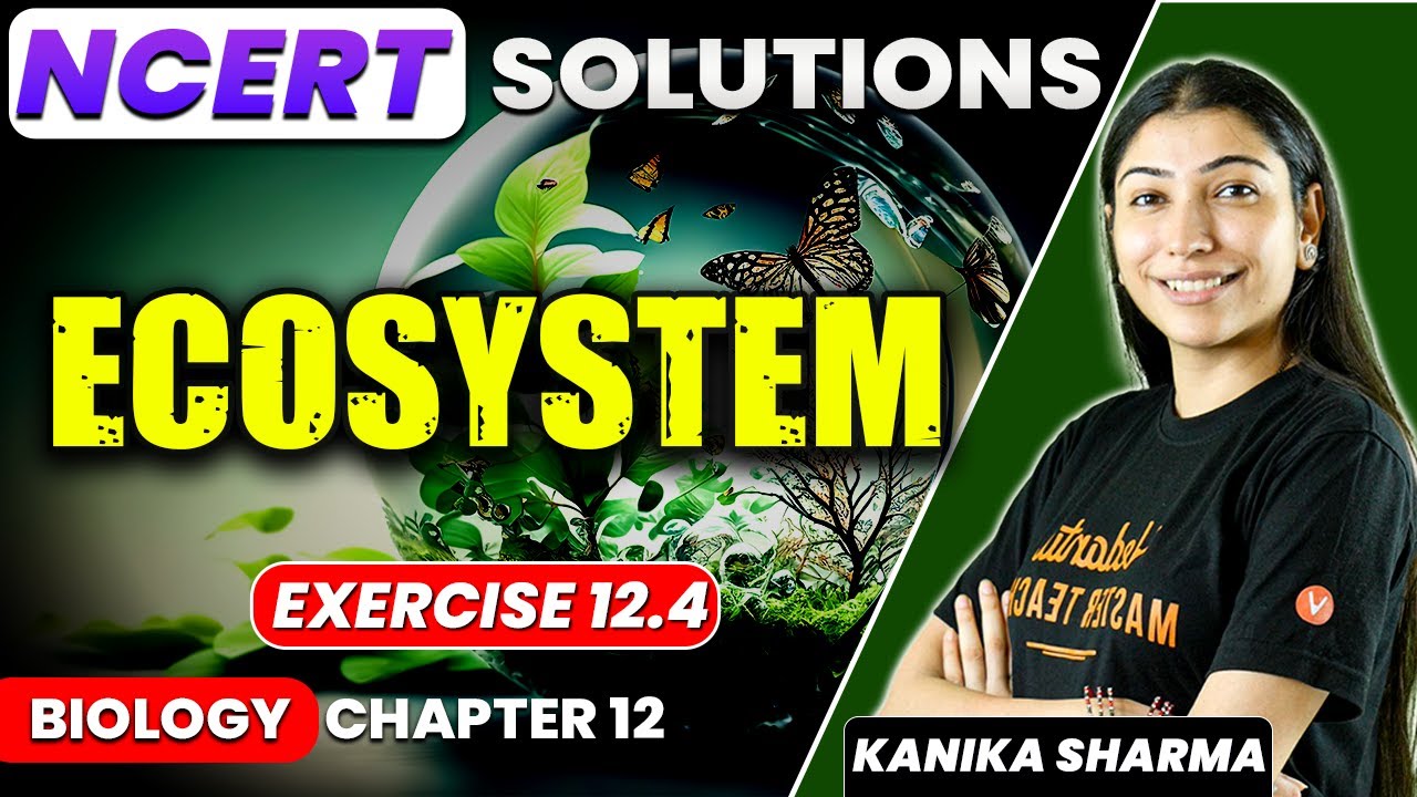 Ecosystem | NCERT EXERCISE 12.4 | Class 12 Biology | CBSE 2024 | NEET ...