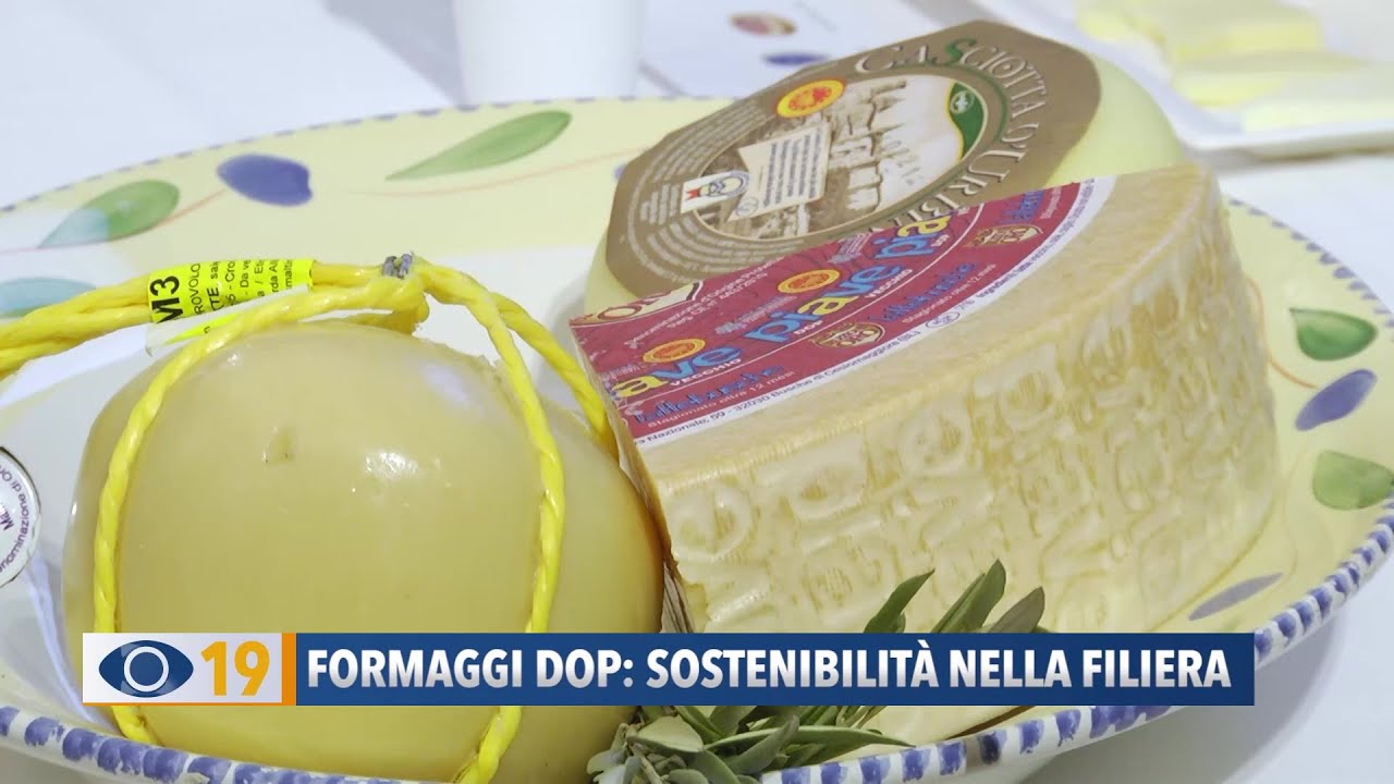 Formaggi DOP: sostenibilità nella filiera - YouTube