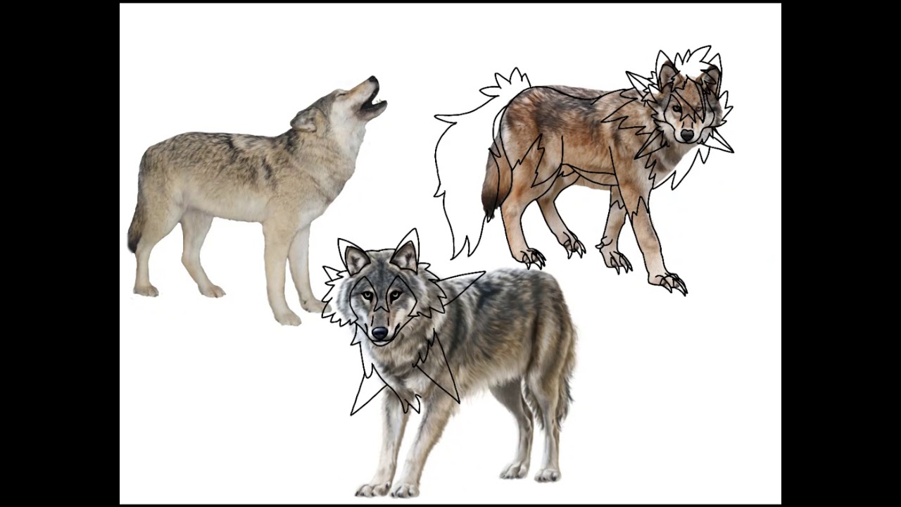 Realistic Lycanroc - YouTube