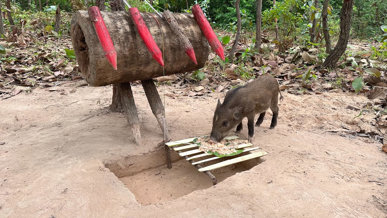 Build the Most Amazing Wild Pig House Make By Round wood block & Sharp ...