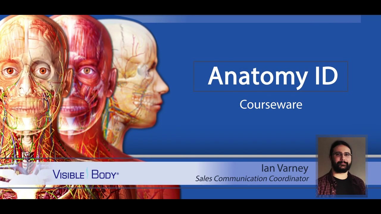 Customizing an anatomy ID activity| Visible Body - YouTube