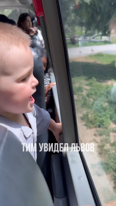В ПЕРВЫЙ РАЗ УВИДЕЛ ЛЬВОВ🦁😍 Уже посмотрели влог из Дубая на канале Аня