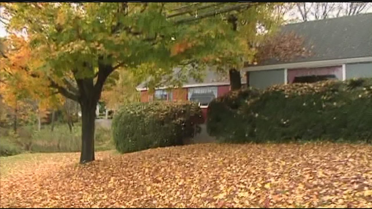 Windy weather is impacting fall foliage tourism - YouTube