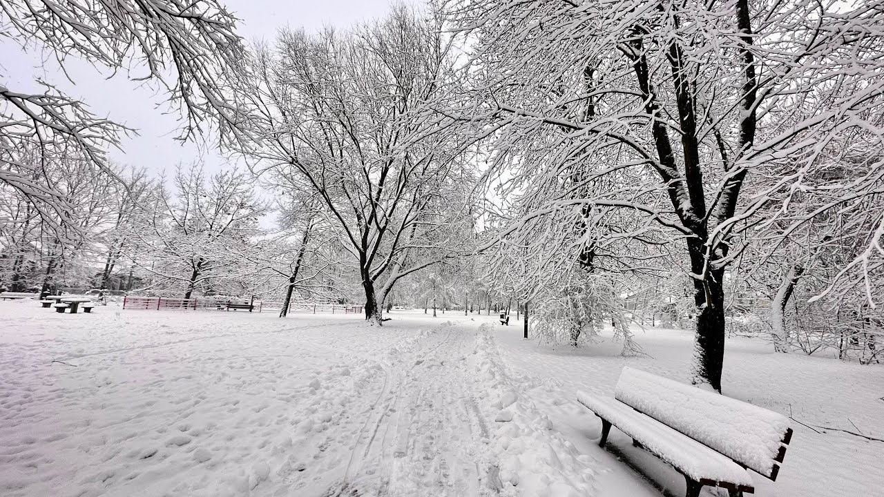 Snowfall in Krakow, Poland || Virtual Walk || Snowy Walk in the Morning ...