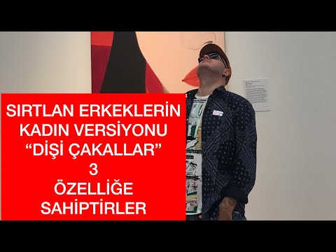 SIRTLAN ERKEKLERİN KADIN VERSİYONU DİŞİ ÇAKALLAR ÜÇ DAVRANIŞ BİÇİMİNE SAHİPTİR - İLİŞKİLER VLOG