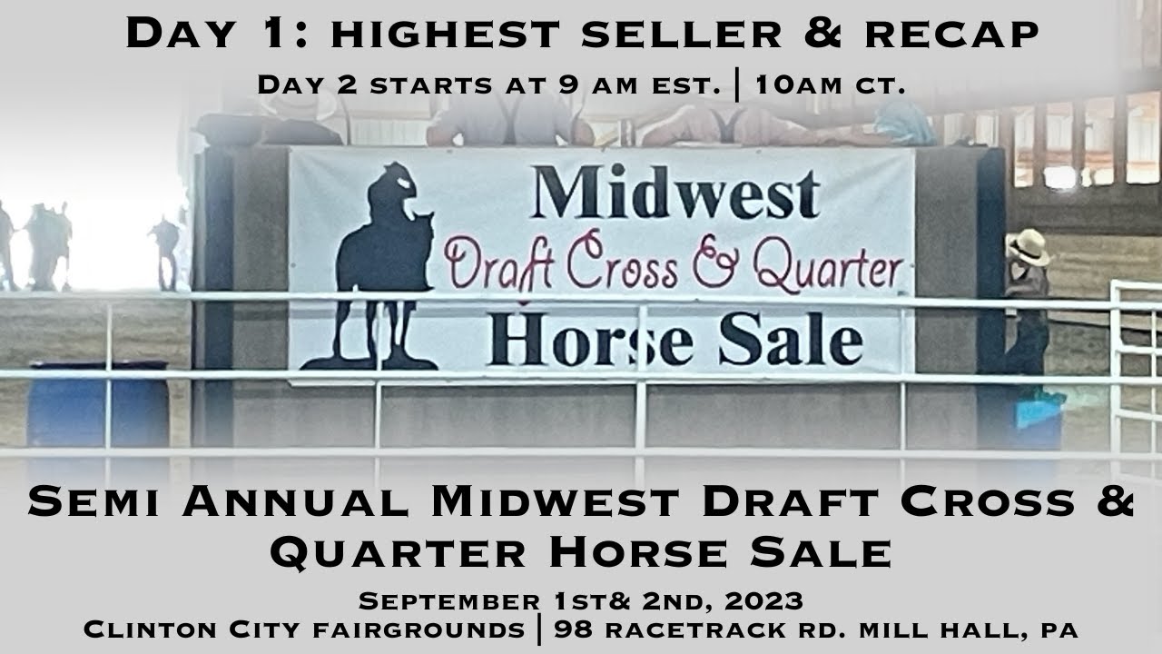 Day 1 Highest Seller from the Semi Annual Midwest Draft Cross & Quarter ...