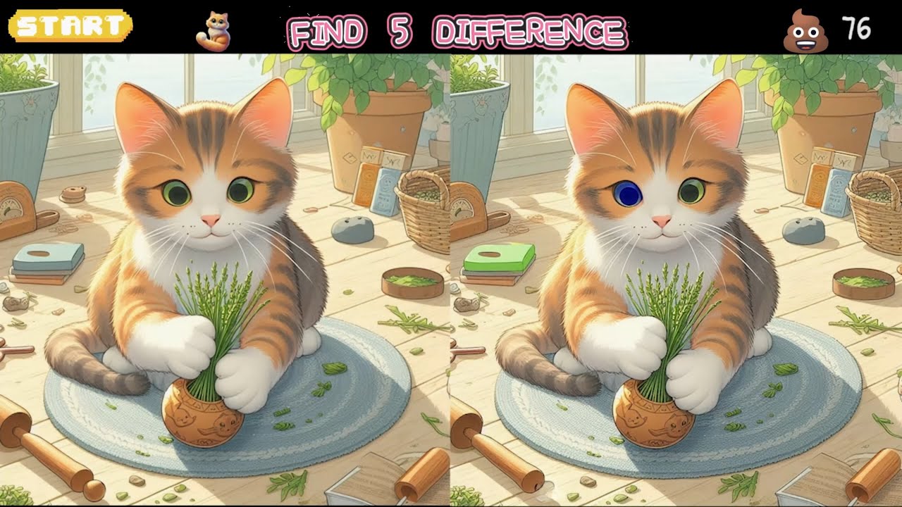FIND FIVE DIFFERENCE CAT FRIEND. ARE YOU GENIUS?(spot the difference youtube) #1 - YouTube