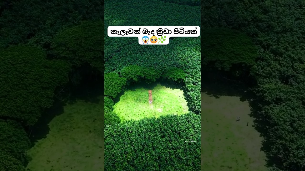Most Beautiful Ground in the world 🌎 😍#beautiful #ground #natural - YouTube
