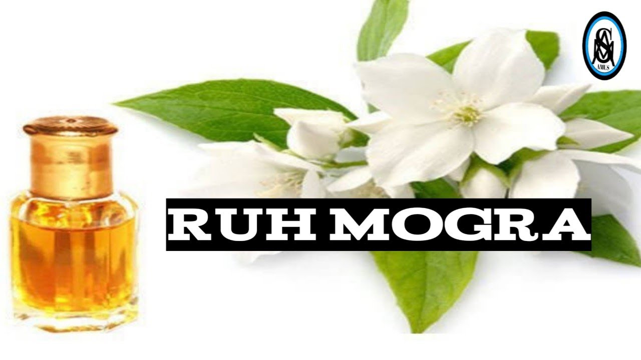 Traditional indian attar ruh mogra🌼🌹 | attar motia | arabian jasmine ...