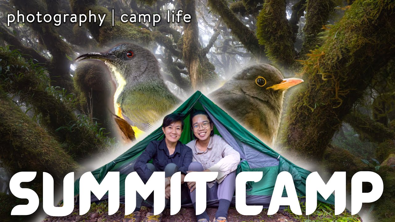 CAMPING at the 2ND HIGHEST MOUNTAIN in the PHILIPPINES | Main Quest in ...
