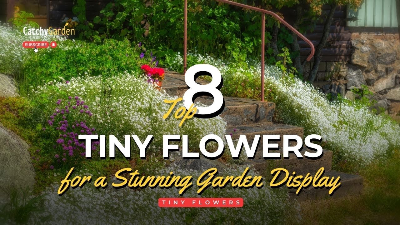 These 8 Tiny Flowers for a Stunning Garden Display 🌸🌷🌺 // Gardening ...