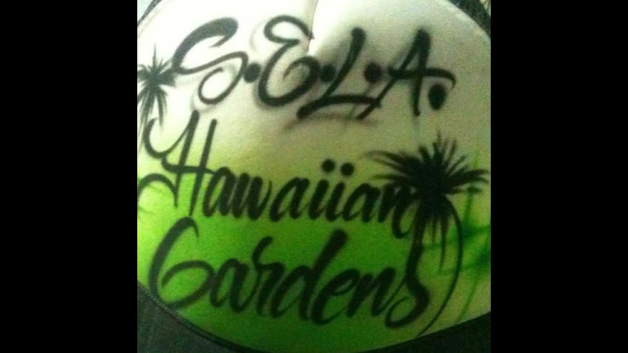 INSIDE THE WORLD OF VARRIO HAWAIIAN GARDENS: HISTORY, STORIES, AND ...