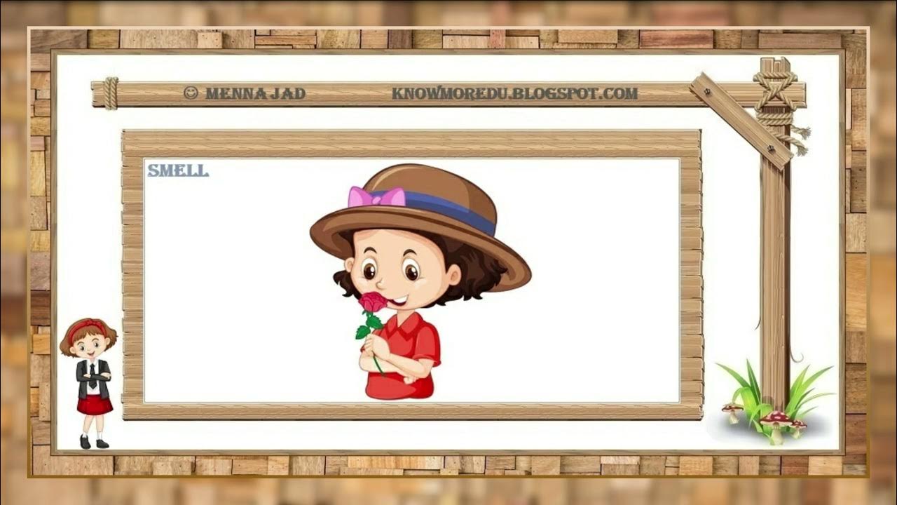 body { parts, five senses } - YouTube