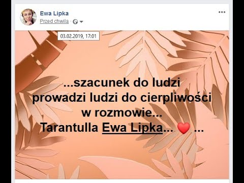 Tarantulla Ewka jest narcyzem 🧐 - 20.04.2024 rok - YouTube