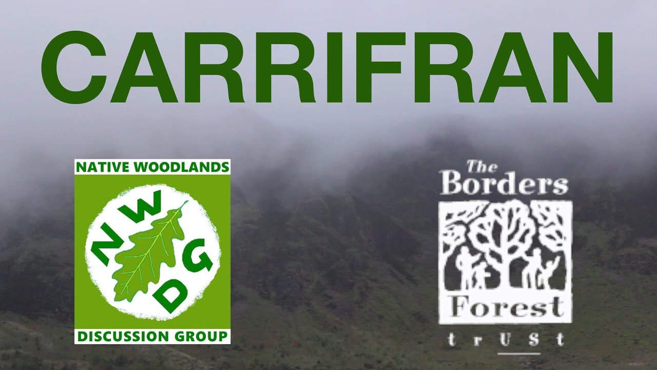 Carrifran Wildwood | Grassroots Ecological Restoration on a Landscape ...