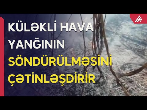 Qəbələ iki kəndin sərhədində yanğın başladı - APA TV