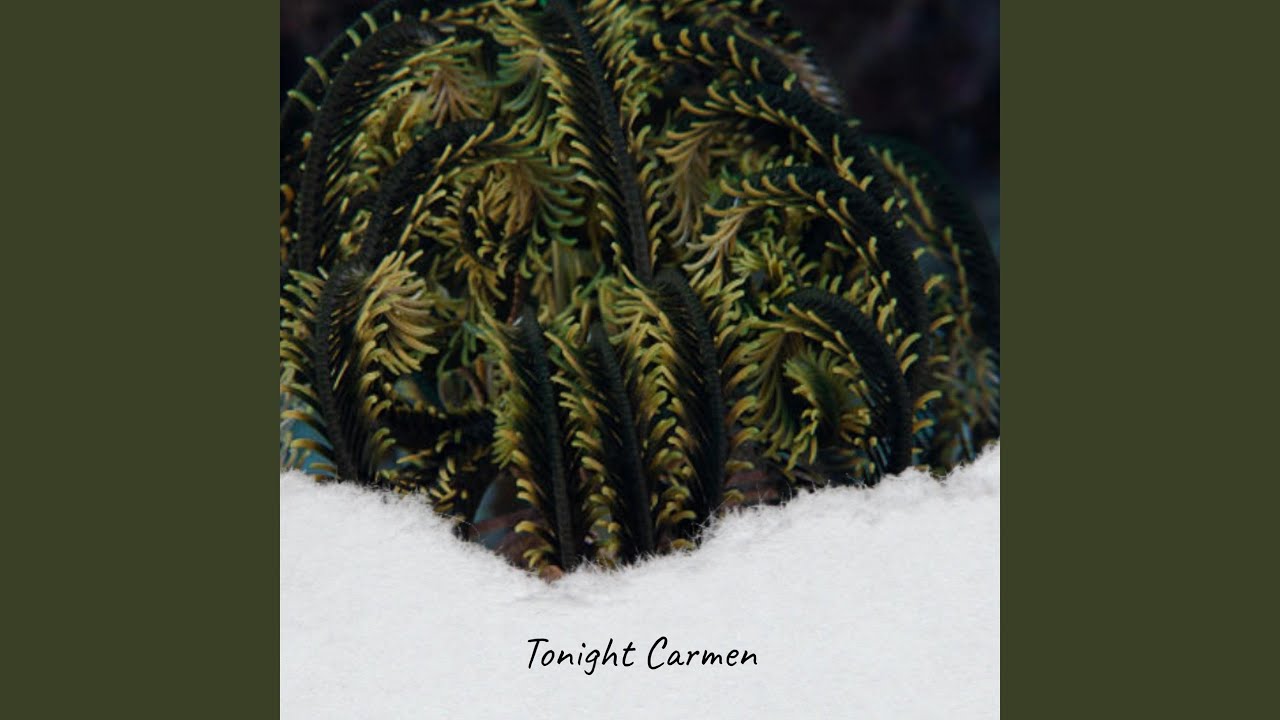 Tater Patch - YouTube