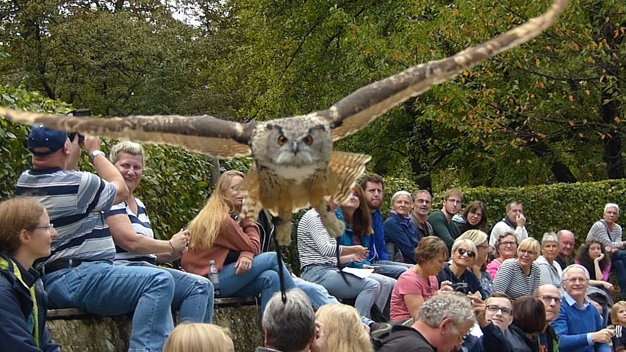 Tierpark Hellabrunn München 2 of 5 - Highlights Paviane Greifvögel und ...