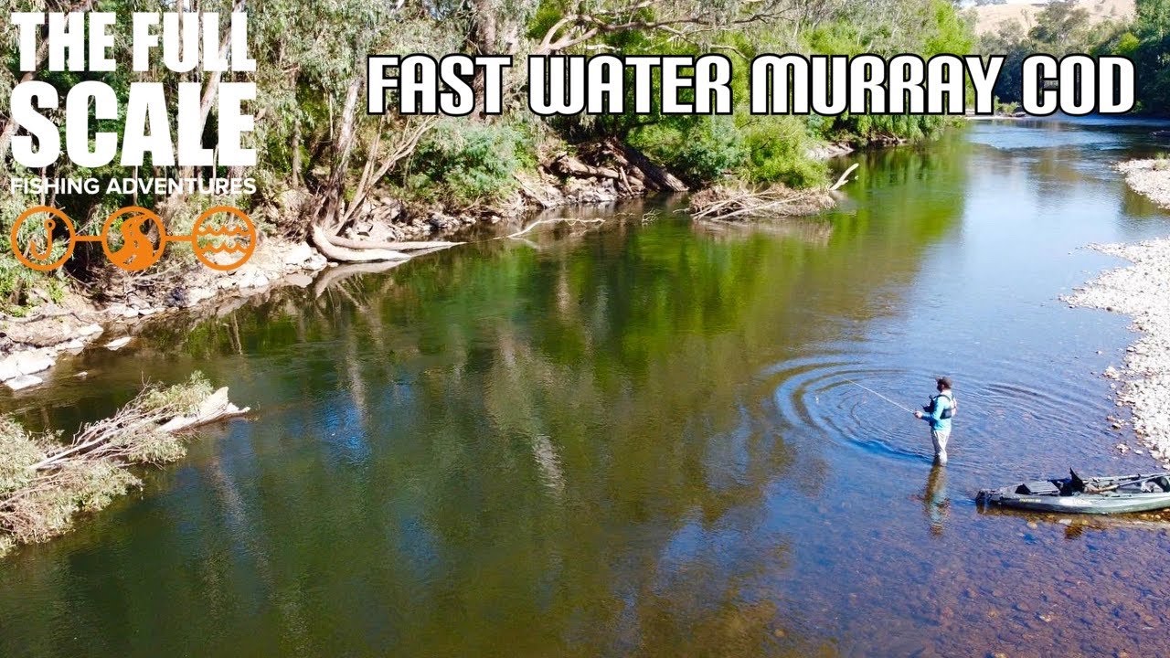 Fast water Kayak Murray Cod | The Full Scale - YouTube
