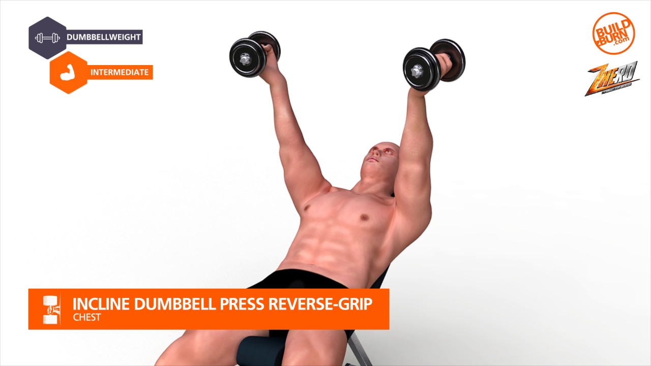 Chest Incline Dumbbell Press Reverse Grip - YouTube