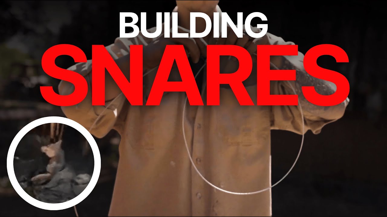 How to Build a Snare // Trapping for Beginners - YouTube
