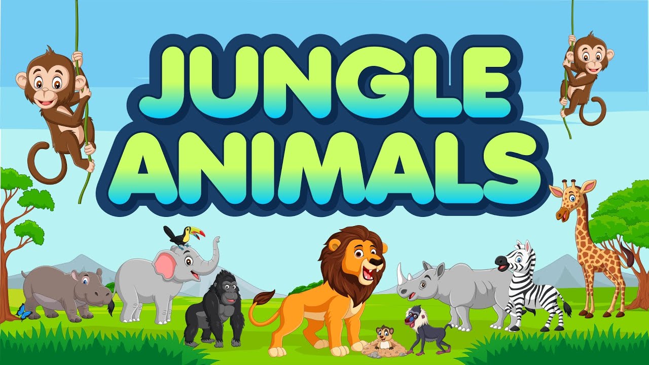 Join the Jungle Crew: Discovering Animals through Play and Learning ...