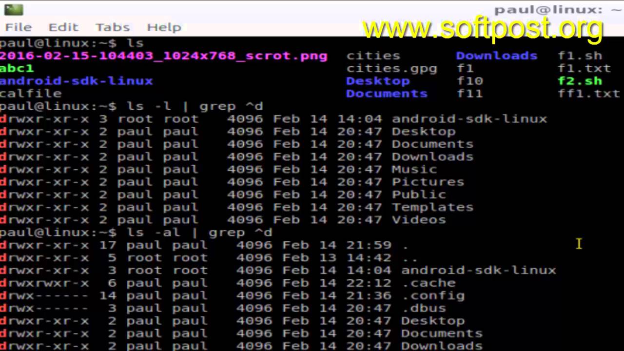 Bash Ls Only Directories Trust The Answer Brandiscrafts bash-ls-only-directories-trust-the-answer-brandiscrafts