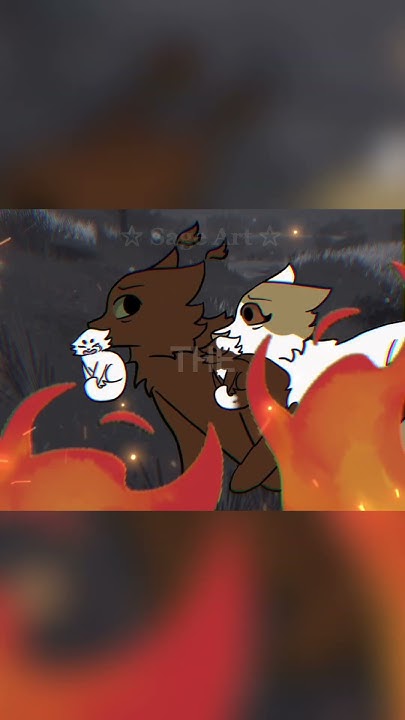Id Let The World Burn For You 🔥 Warrior Cat Oc Pmv 🔥 Pmv Original Youtube