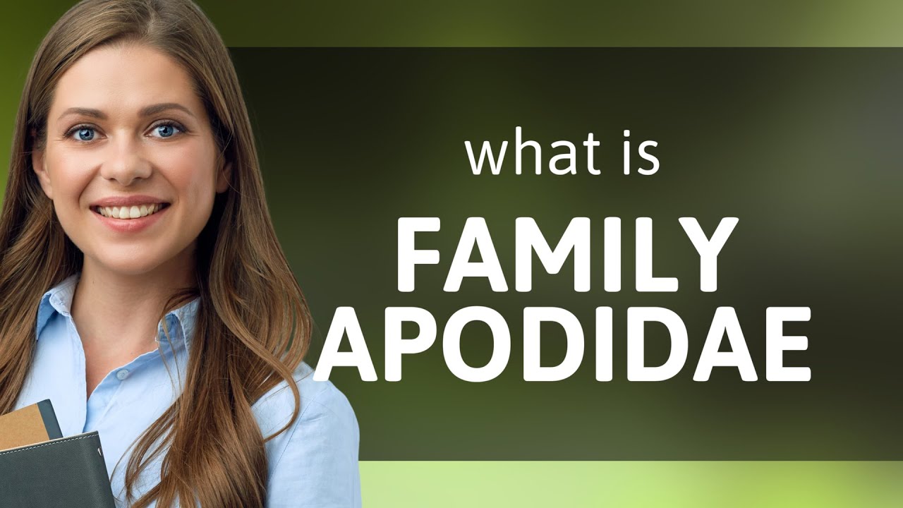 Family apodidae | what is FAMILY APODIDAE meaning - YouTube