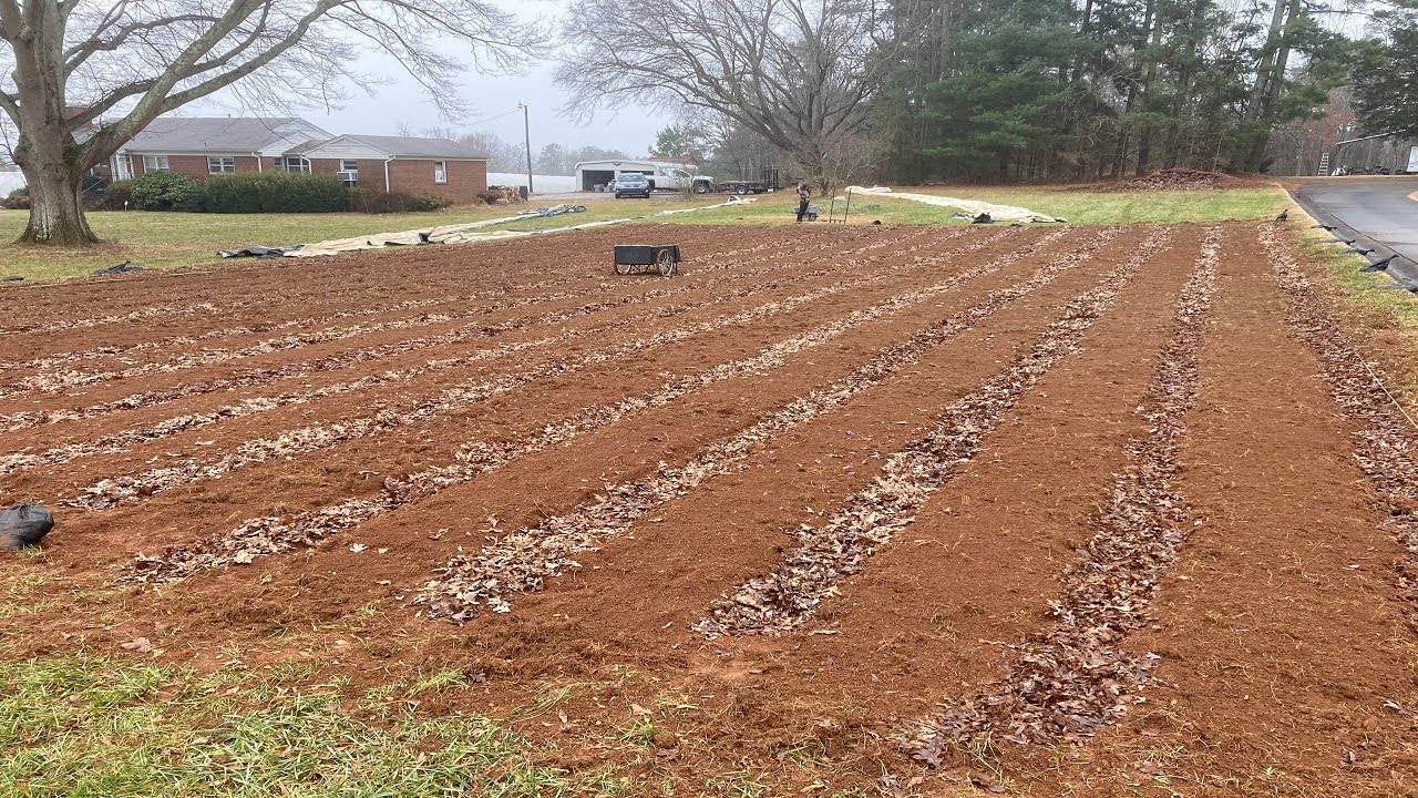 Building a 6000sq' SPRING GARDEN In January - YouTube