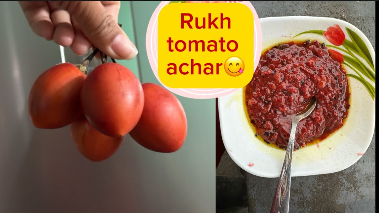 RUKH TAMATAR OR THE TREE TOMATO AND A VERY FLAVORFUL PICKLE WITH IT ...