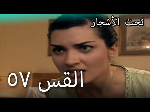 57 سنوات الضياع