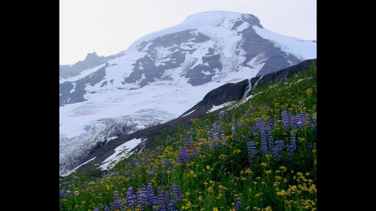 Mount Baker Summit via Coleman Deming Glacier Route - A Retrospective ...