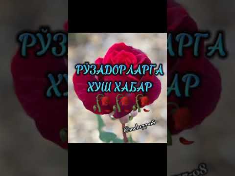 РУЗАДОРЛАРГА ХУШХАБАР