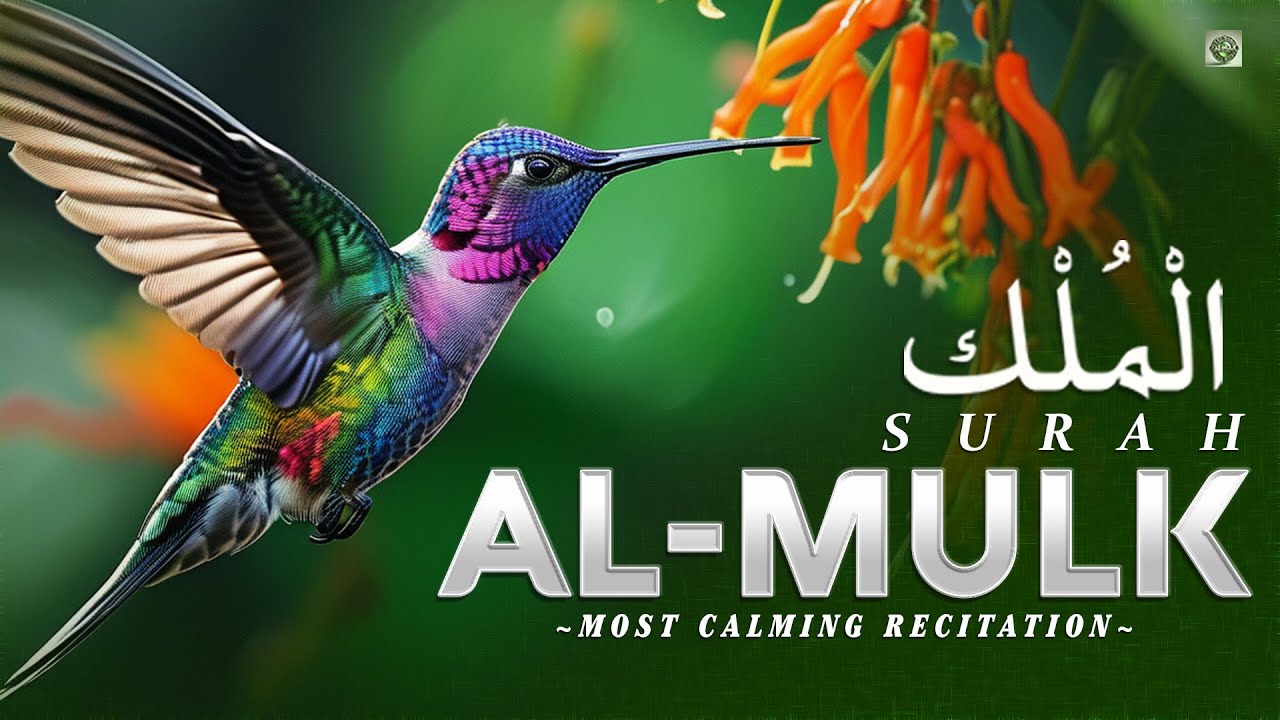Deep Relaxation Surah Al - Mulk سورة الملك | Full With Arabic and Latin ...