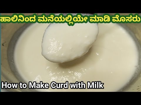 How to make curd at home without curd | Making Curd | Homemade curd ...