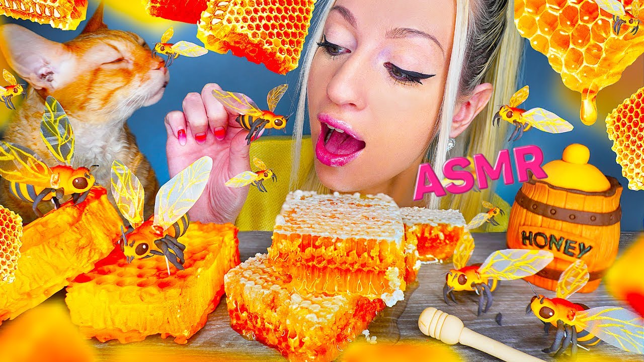 ASMR EATING HONEYCOMB, 벌꿀 (CAKE, 케이크를 먹는, EDIBLE BEE, DESSERT, SWEET FOOD, STICKY SOUND) MUKBANG ...