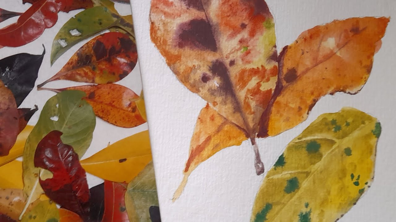 Easy and great watercolor practice for beginners. - YouTube