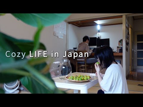 Japonya’da huzurlu yaşam 🇯🇵 | Ev yemekleri, dağ yürüyüşü ve kafe zamanı