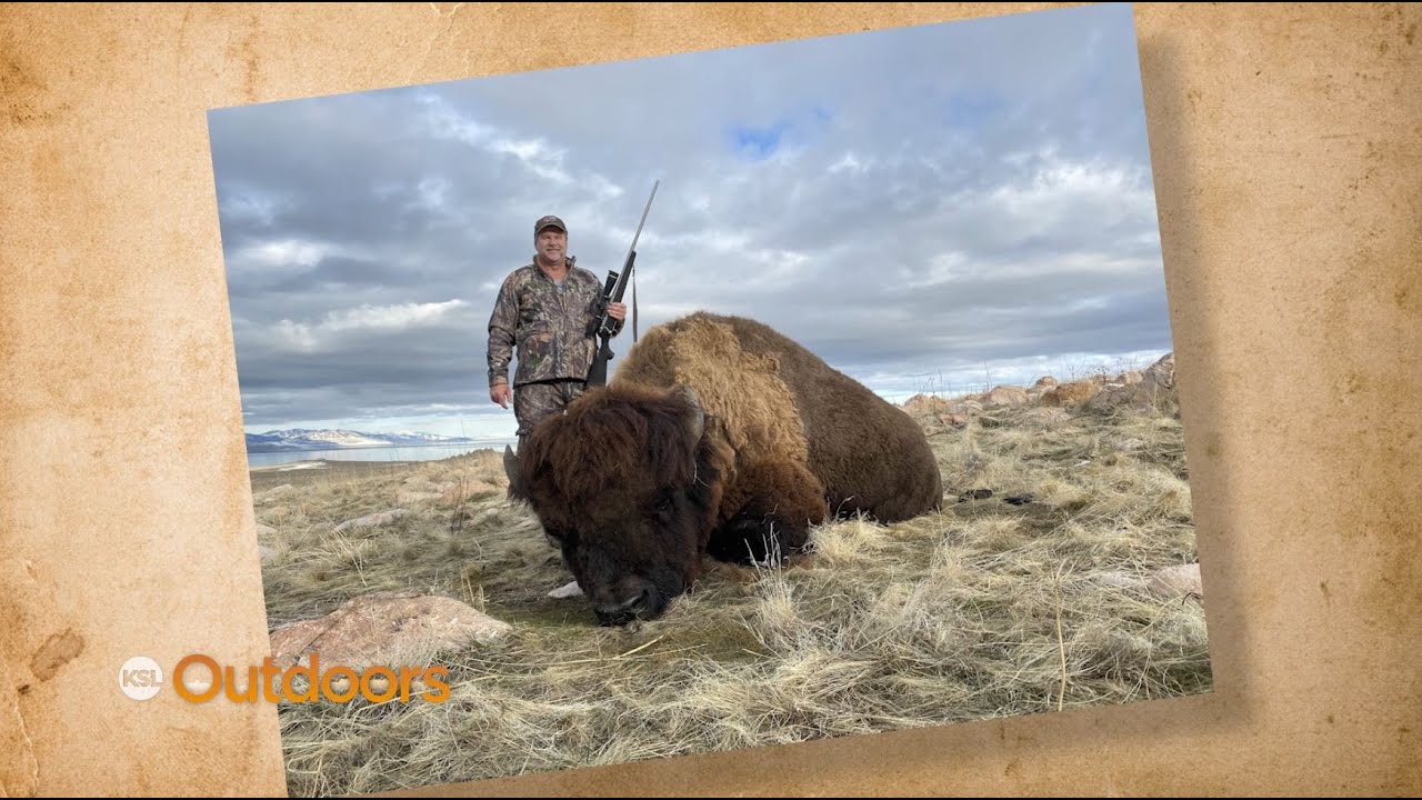 Snapshot of the Week: February 15, 2020 - YouTube