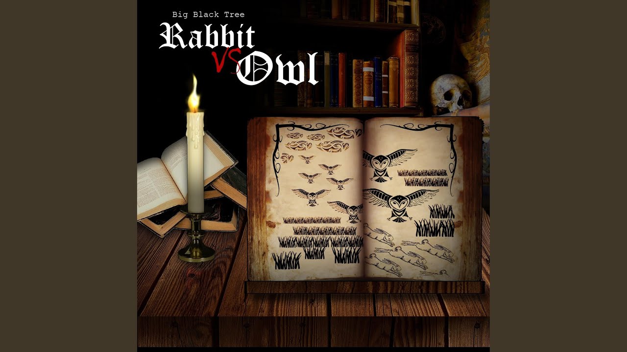 Rabbit Vs. Owl - YouTube